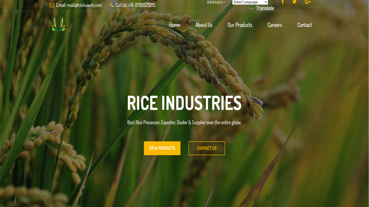 Free Rice Merchant and Trader Website Template Bootstrap